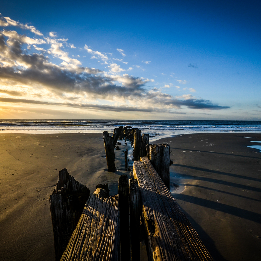 Beach Yoga Class Schedule — Serenity Tree Yoga