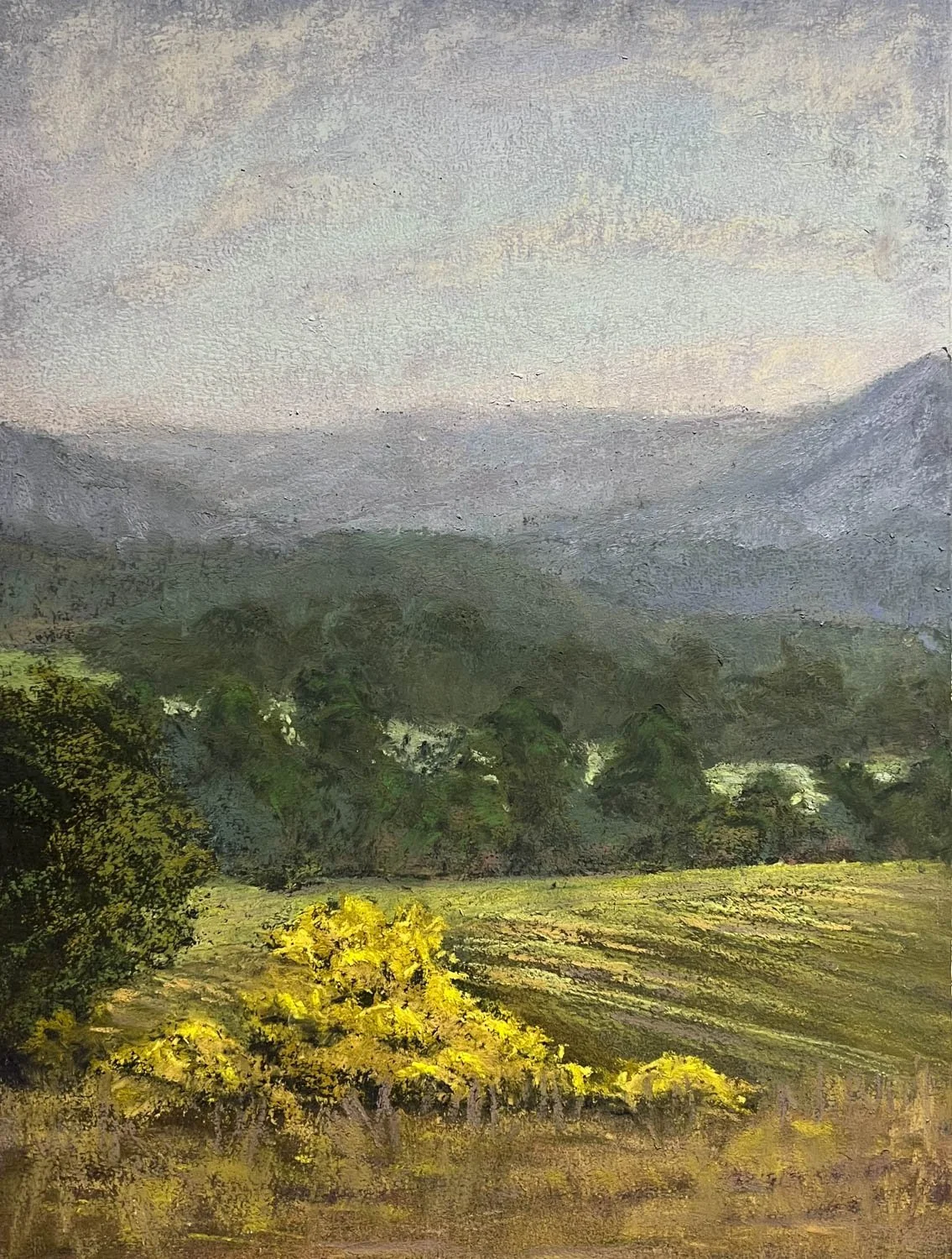 NEW PAINTINGS — ANDREA STUTESMAN