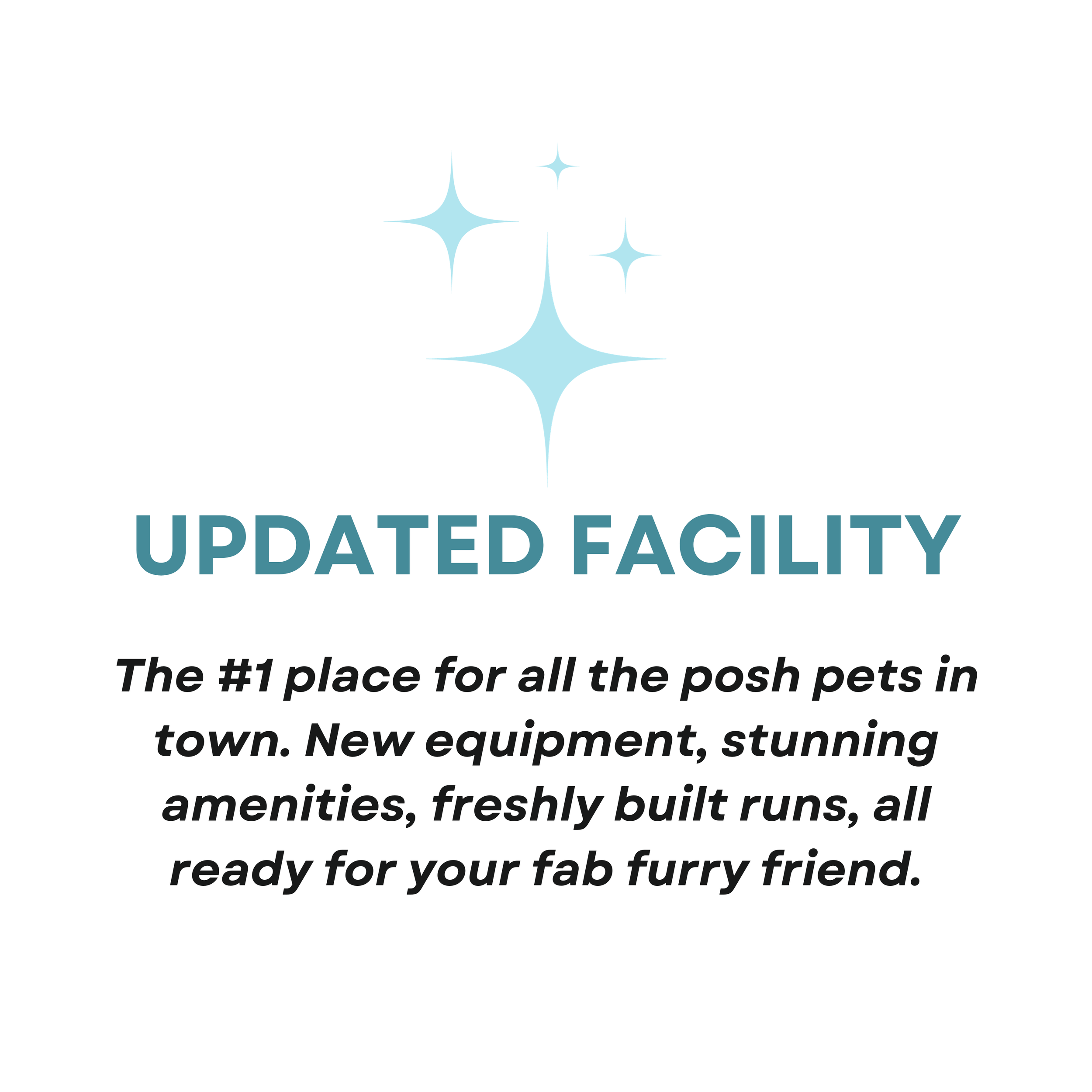 Pawsitively Posh Pet Resprt & Spa - Greeneville Tennessee Pet Grooming ...
