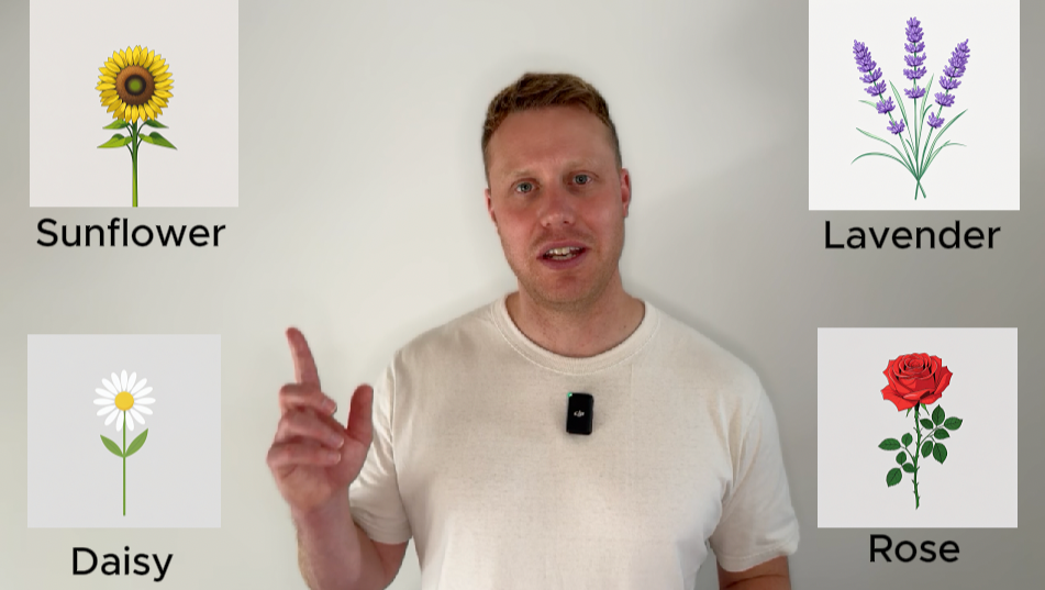 Aphasia Therapy Video Pack with Interactive Workbooks | Speaking Of ...