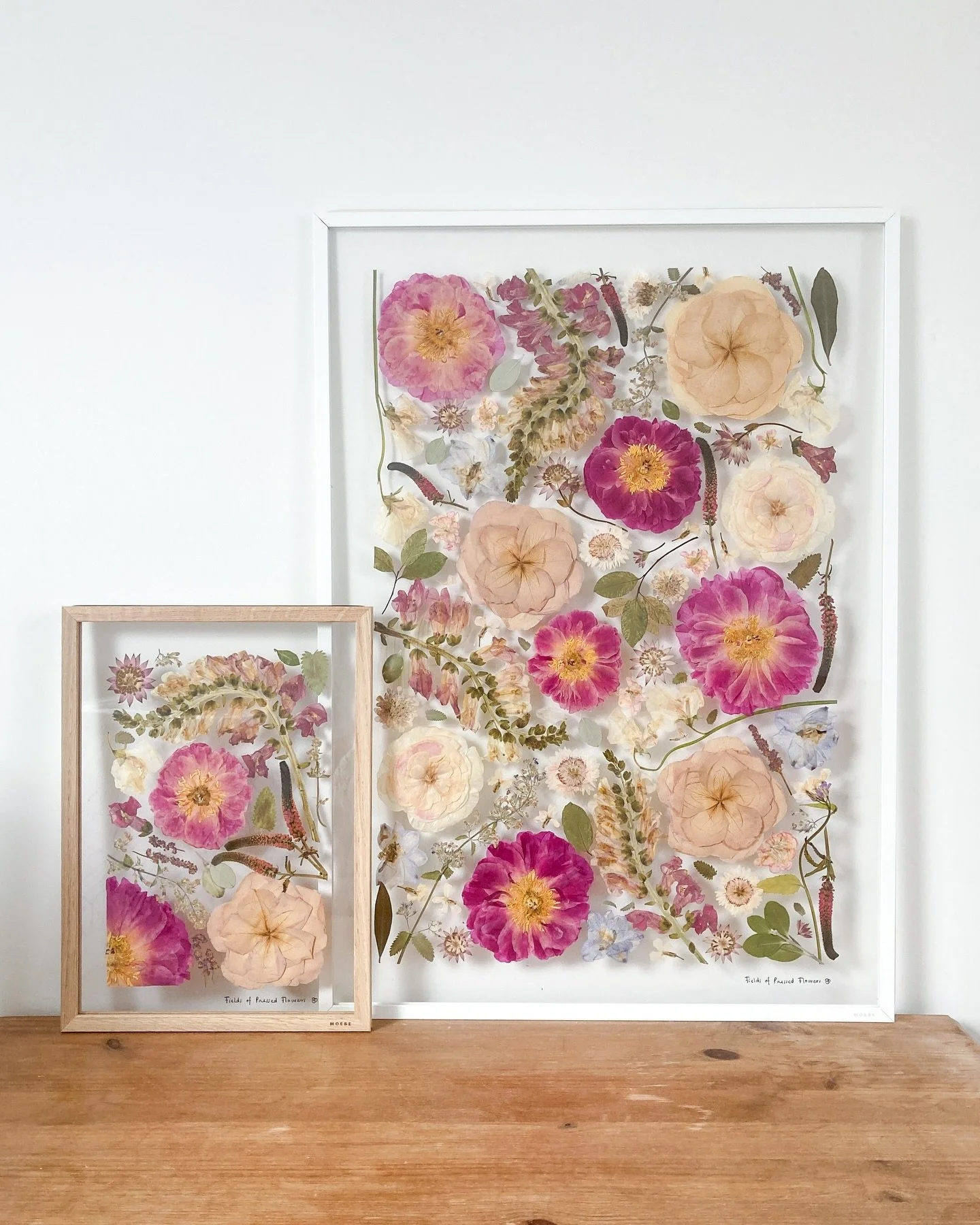 Fields of Pressed Flowers