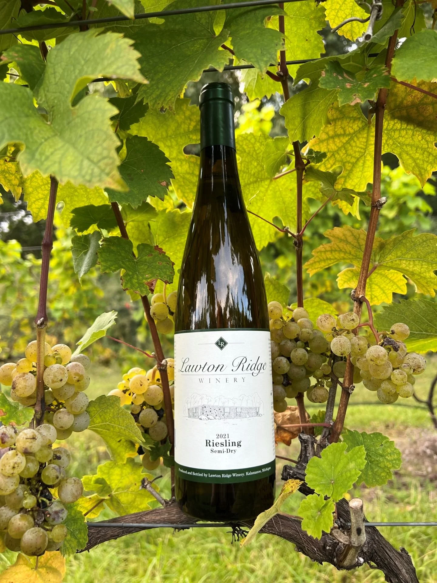 Wine & Cider — Lawton Ridge Winery