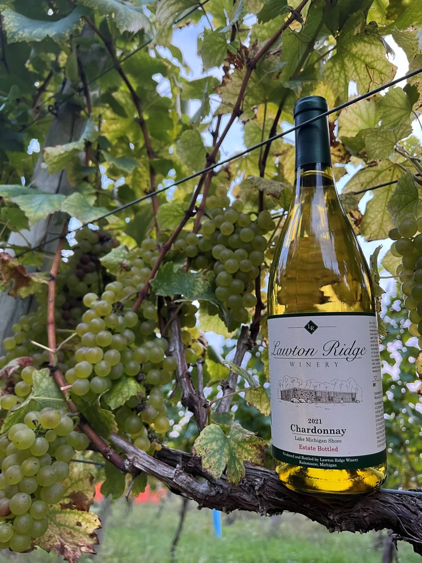 Wine & Cider — Lawton Ridge Winery