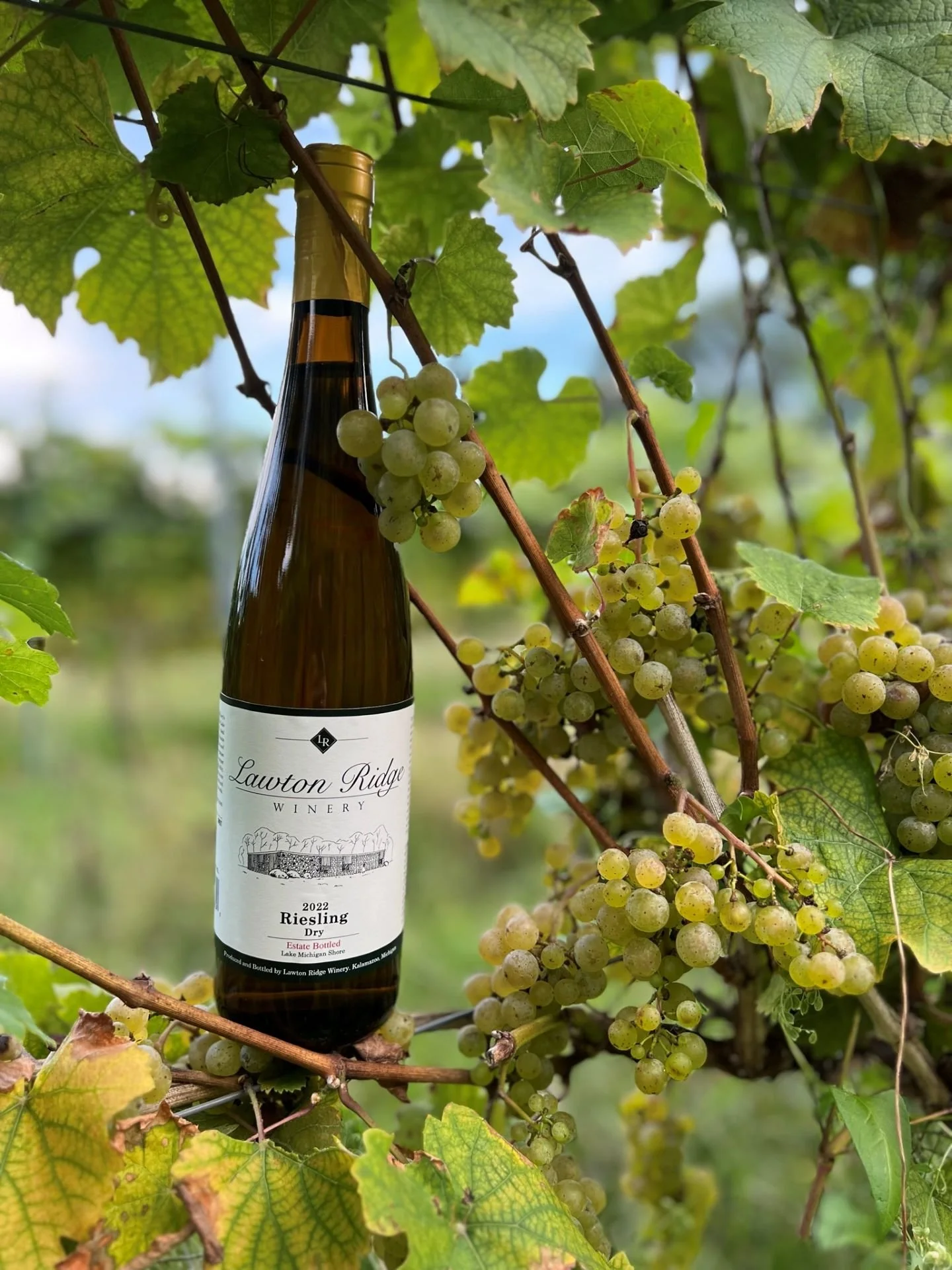 Wine & Cider — Lawton Ridge Winery