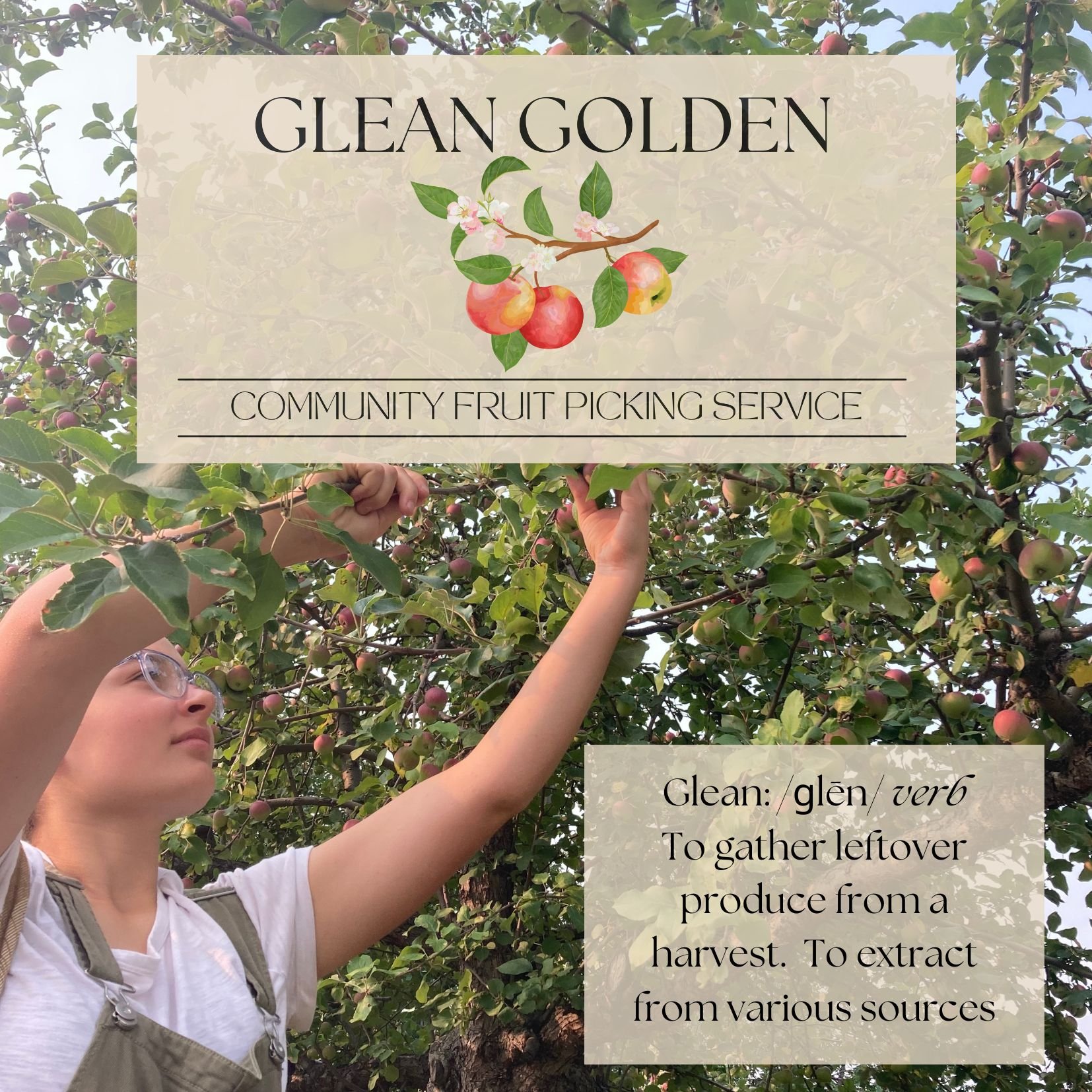 Local Food Matters & Golden Farmers Market