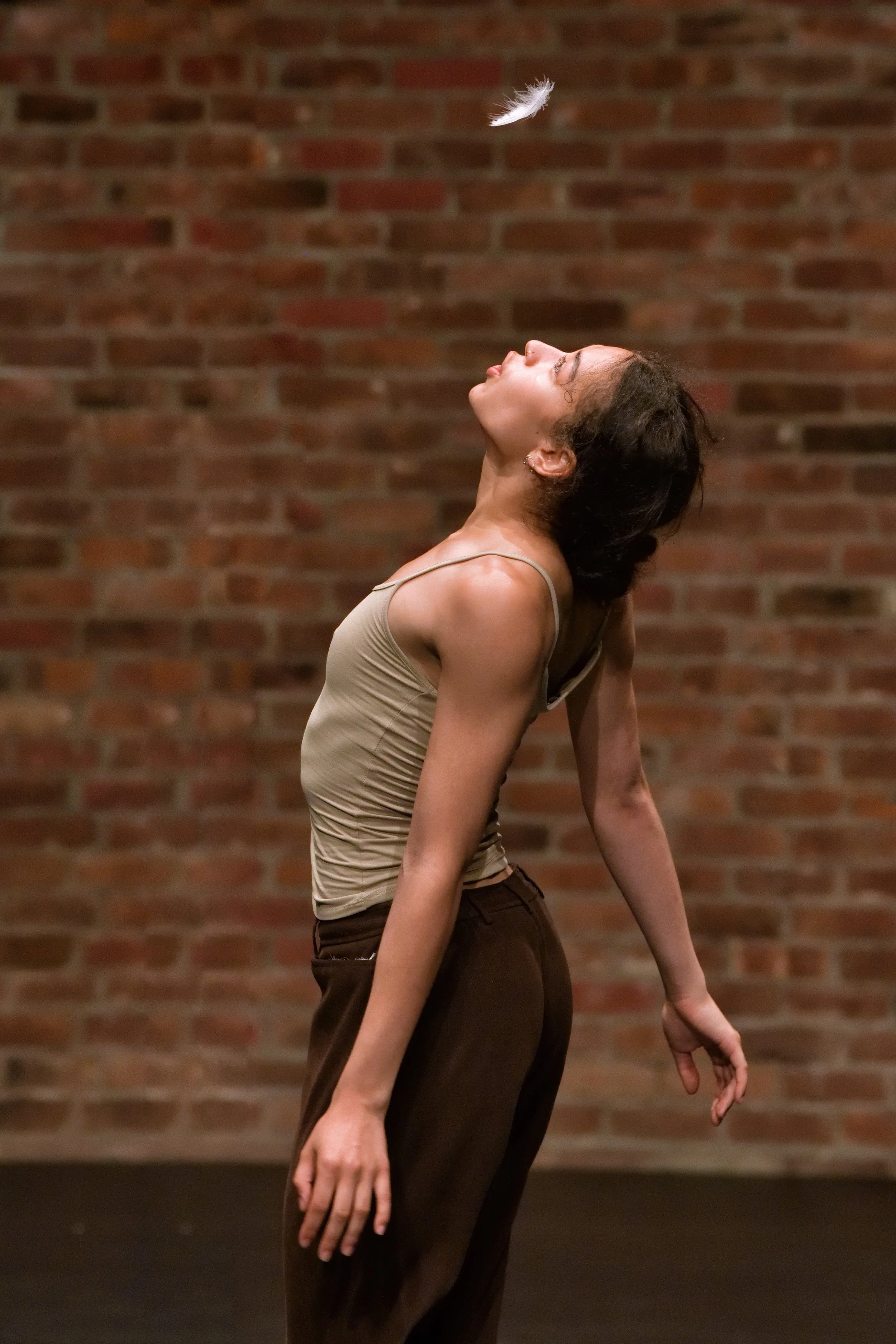 SPRINGBOARD DANSE | PITTSBURGH — Springboard Danse