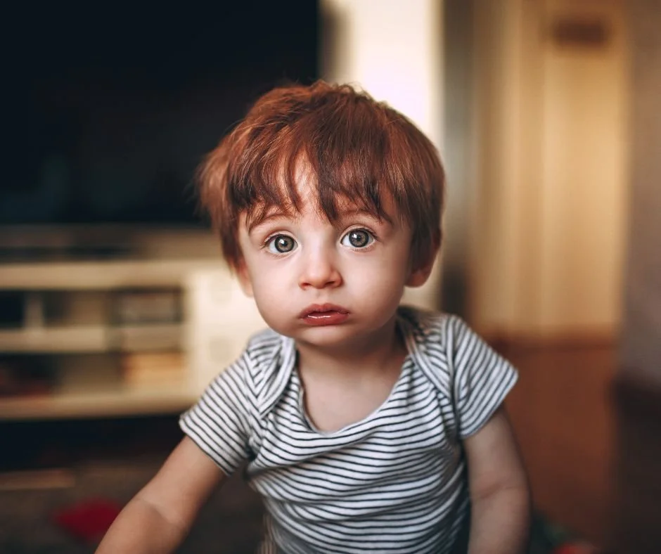 Child Risk Assessment — Institute for Human Services