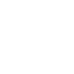 The SOi Co.