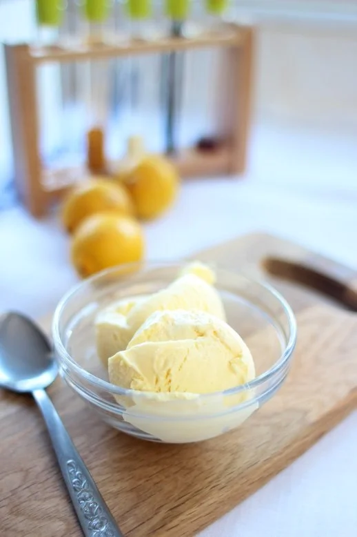 SECTION 1 - THE SCIENCE OF ICE CREAM MAKING AND PREPARATION TIPS — ICE ...