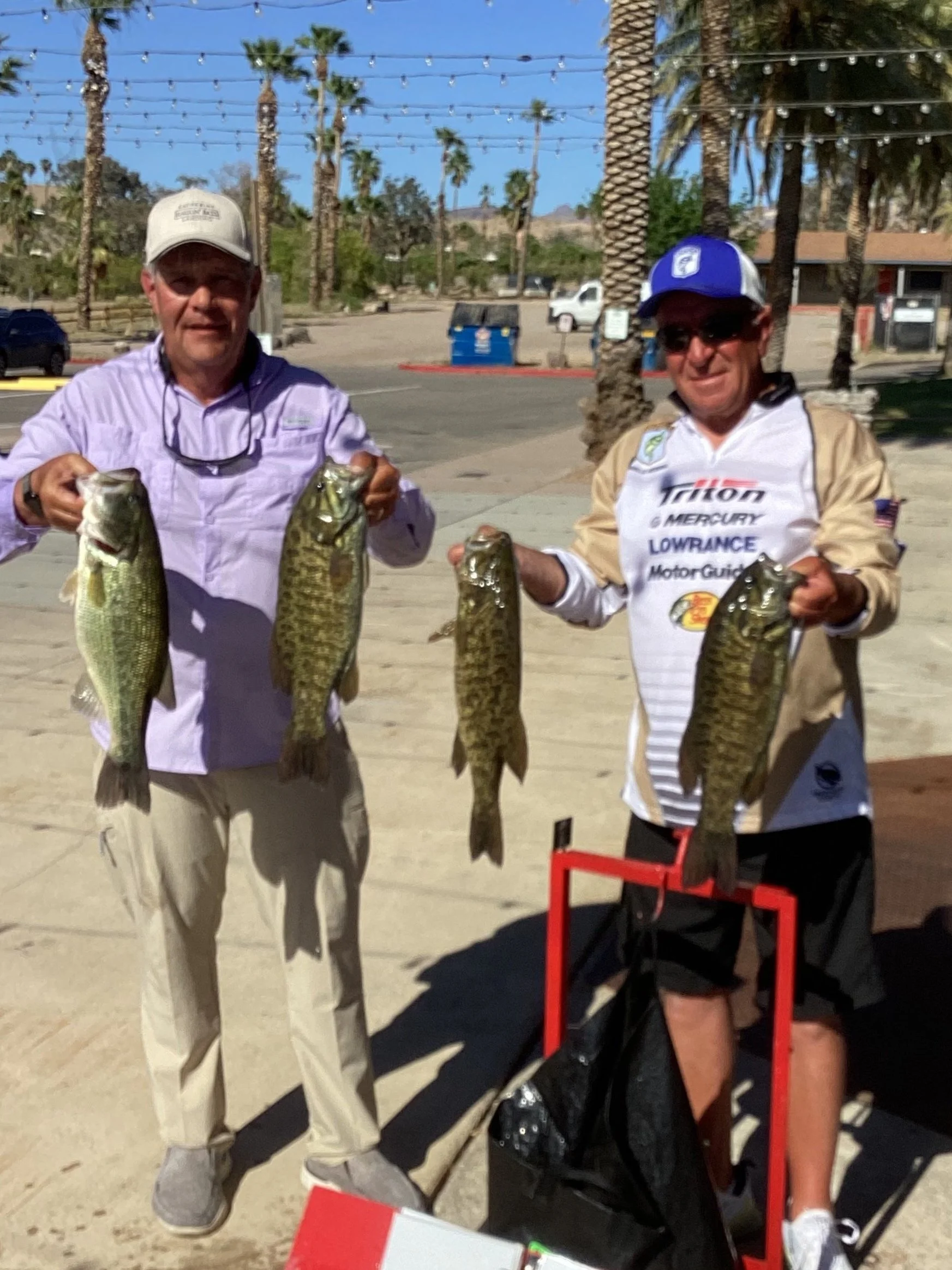 April 2024 Lake Mohave — Midweek Bass AZ