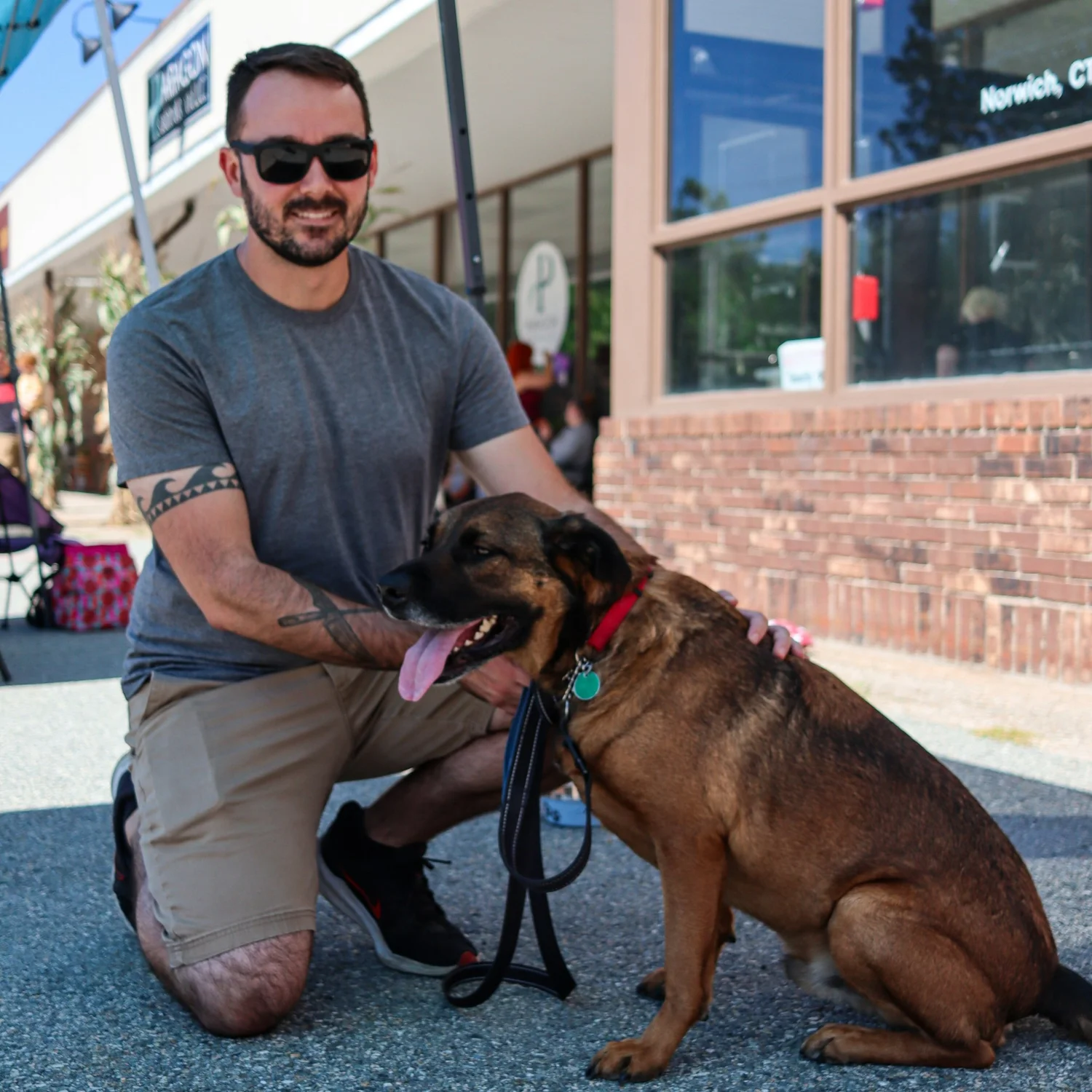 Foster a Rescue Dog — Wings of Freedom Animal Rescue | Connecticut ...