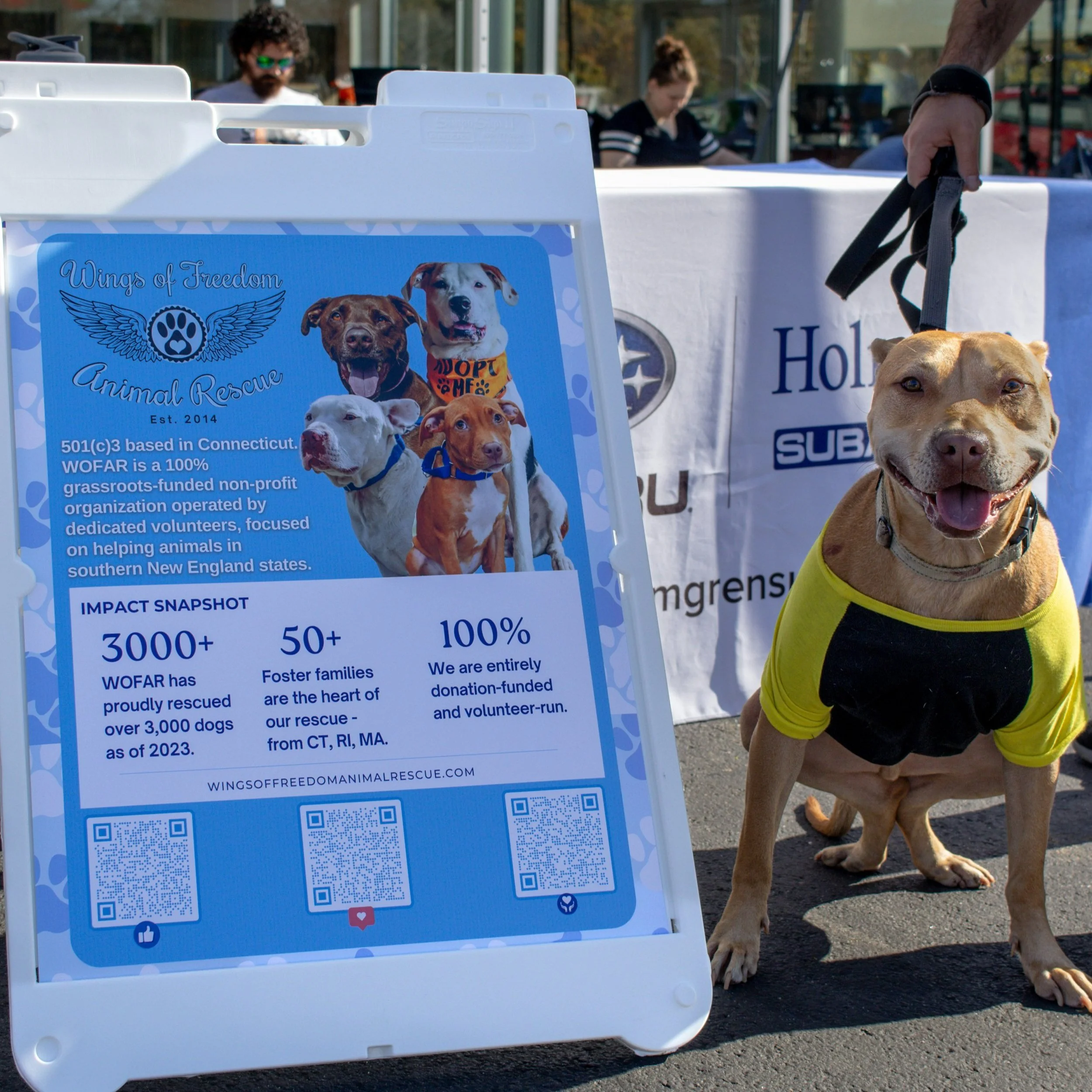 Join Us for Adoption Events, Fun, and More! — Wings of Freedom Animal ...
