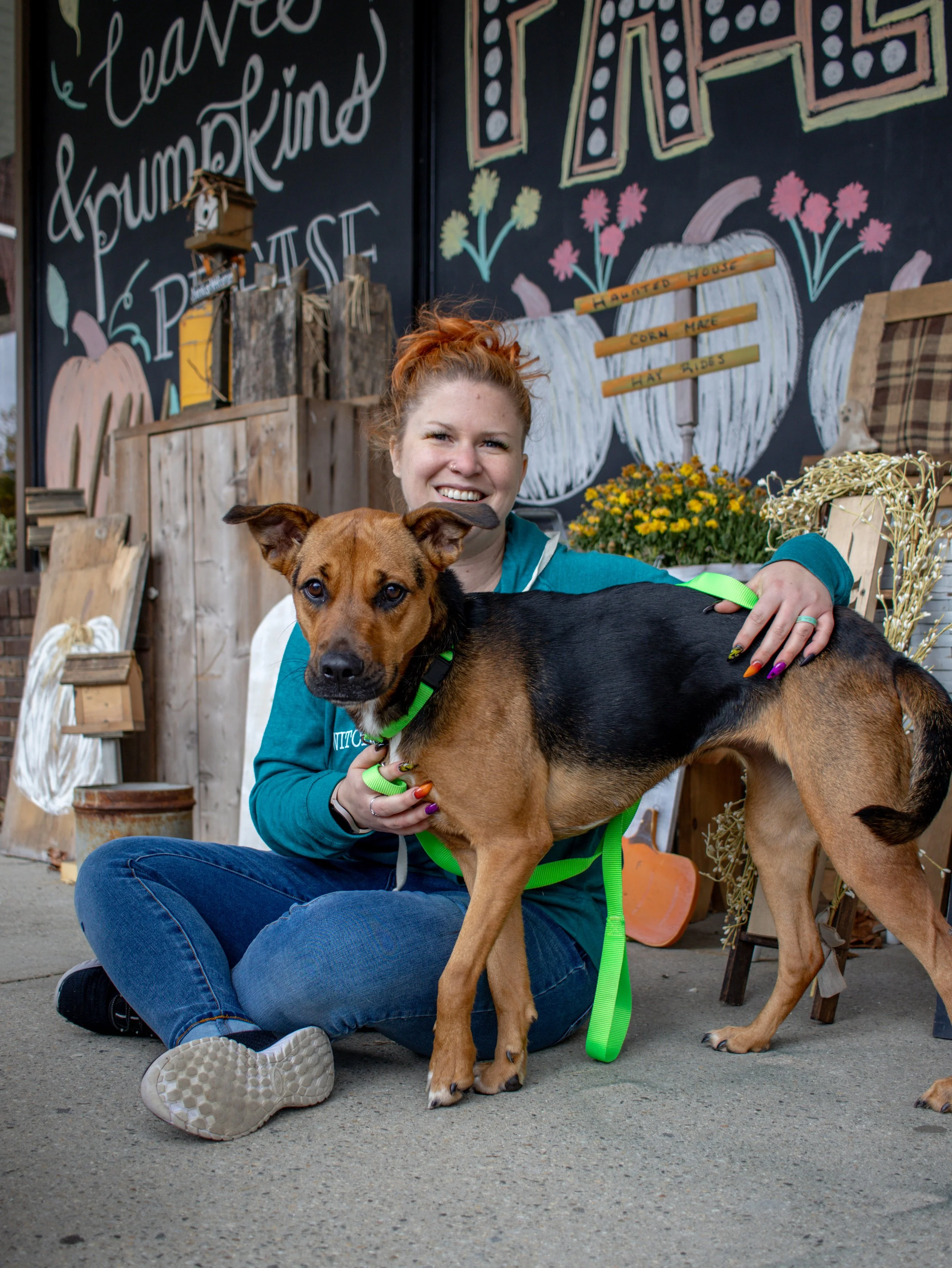 Learn About WOFAR - Our Mission and Pledge — Wings of Freedom Animal ...