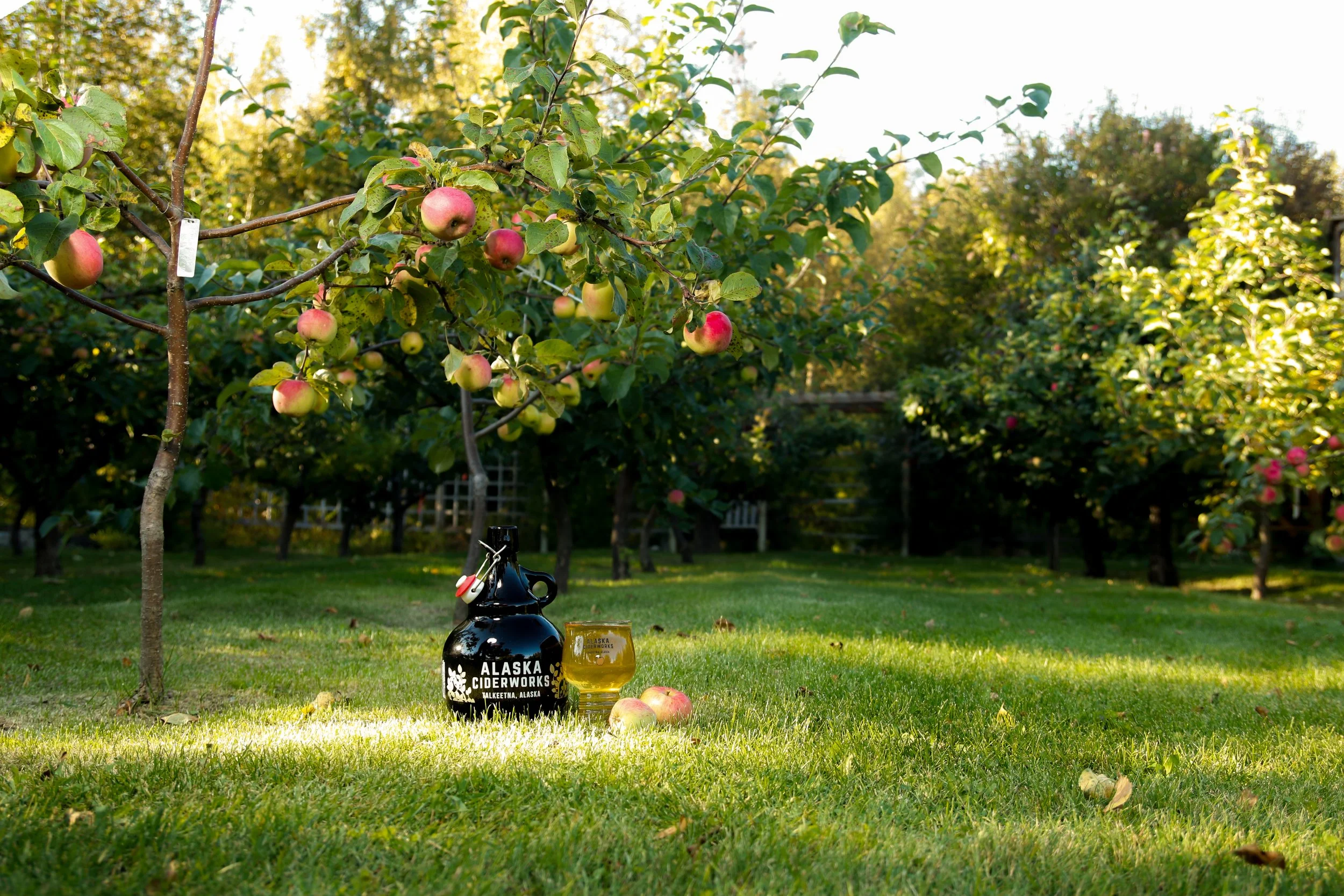 Alaska Ciderworks & Meadery