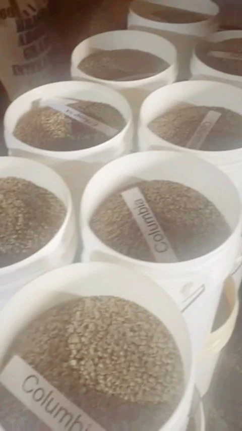 Zoom Coffee Roasters