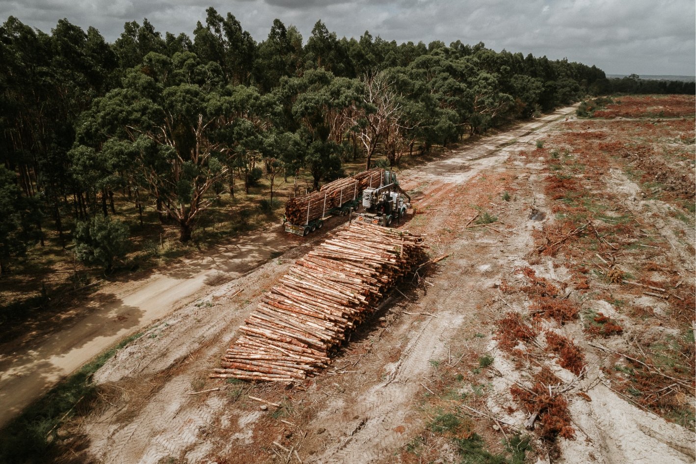 LOG CARTAGE — Leeson's Logging & Cartage — Servicing Gippsland's timber ...