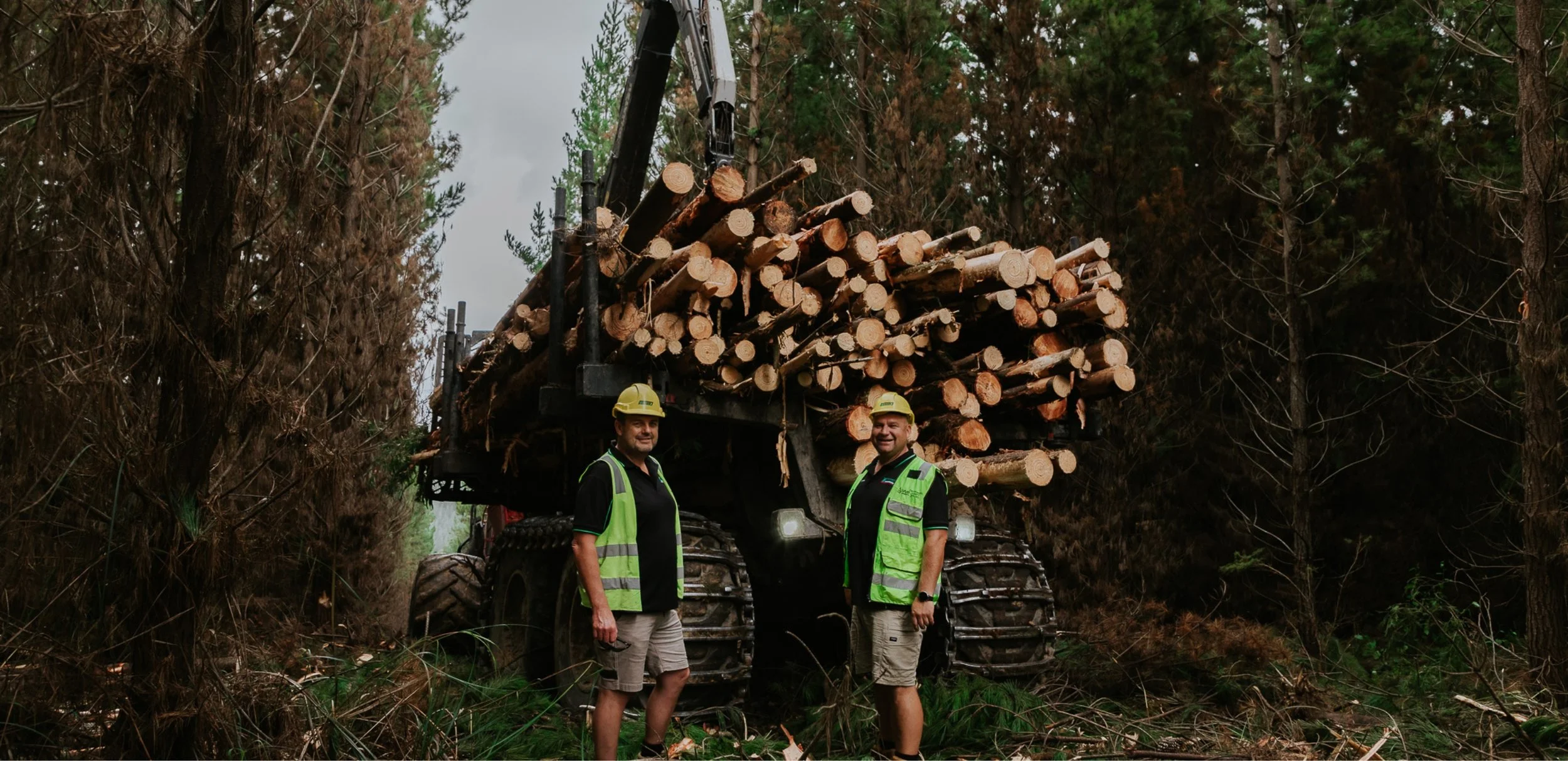 OUR COMPANY — Leeson's Logging & Cartage — Servicing Gippsland's timber ...