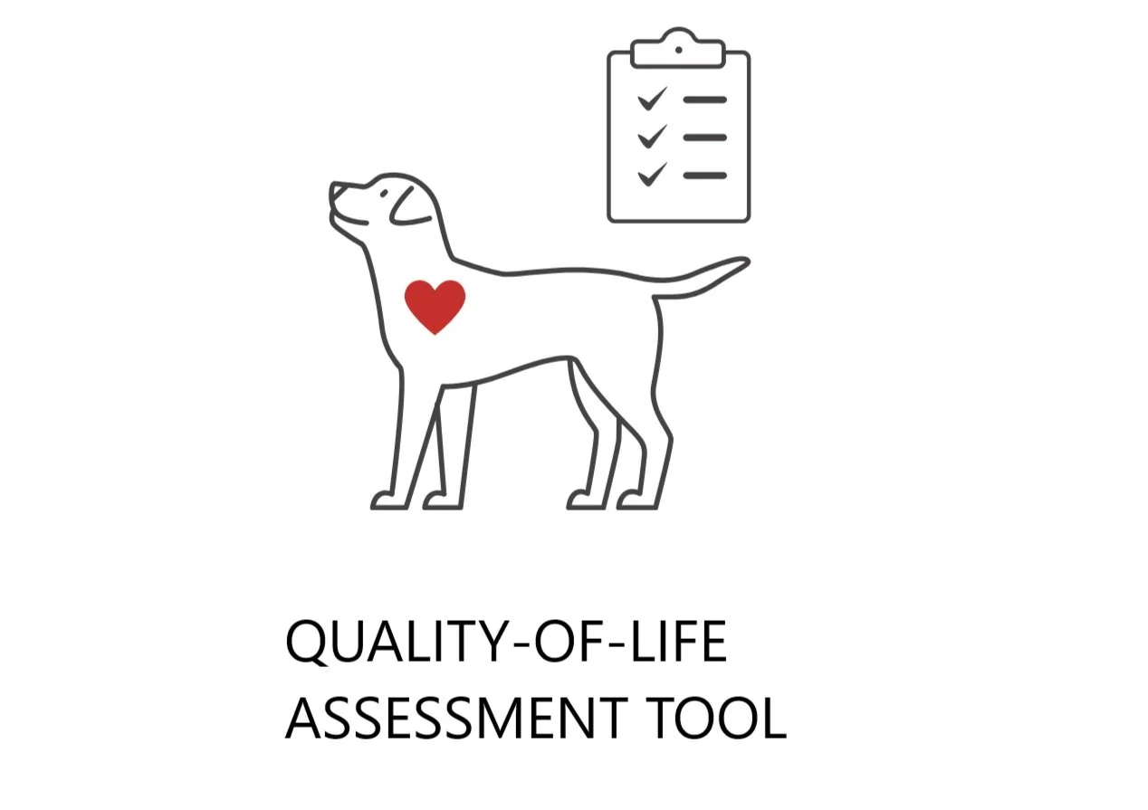 Pet Euthanasia in Hamilton | Peaceful Passing