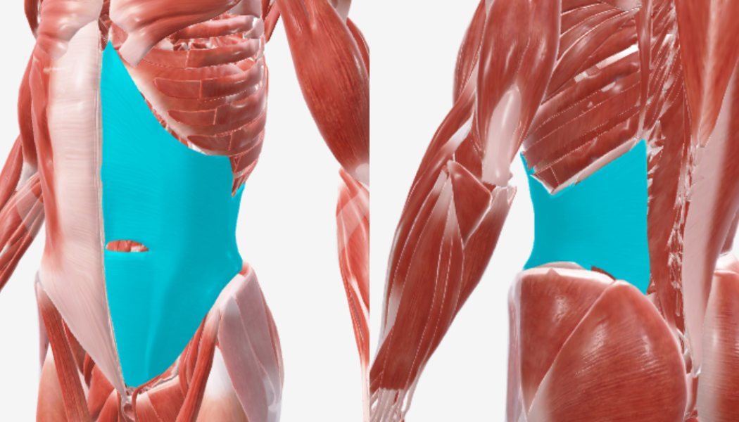 What Does “Brace Your Core” Even Mean? — Melius