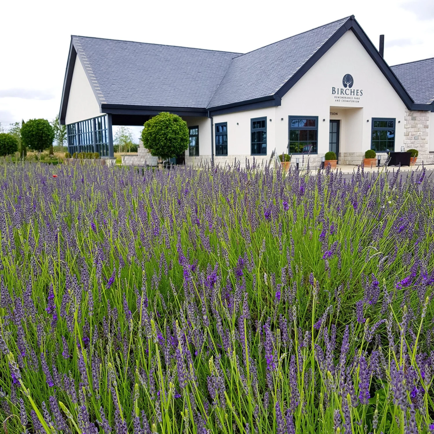 Gallery — Birches Crematorium & Remembrance Park