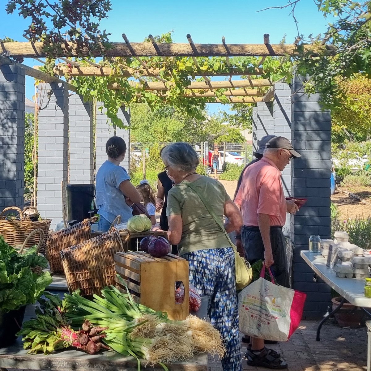 Village Collective