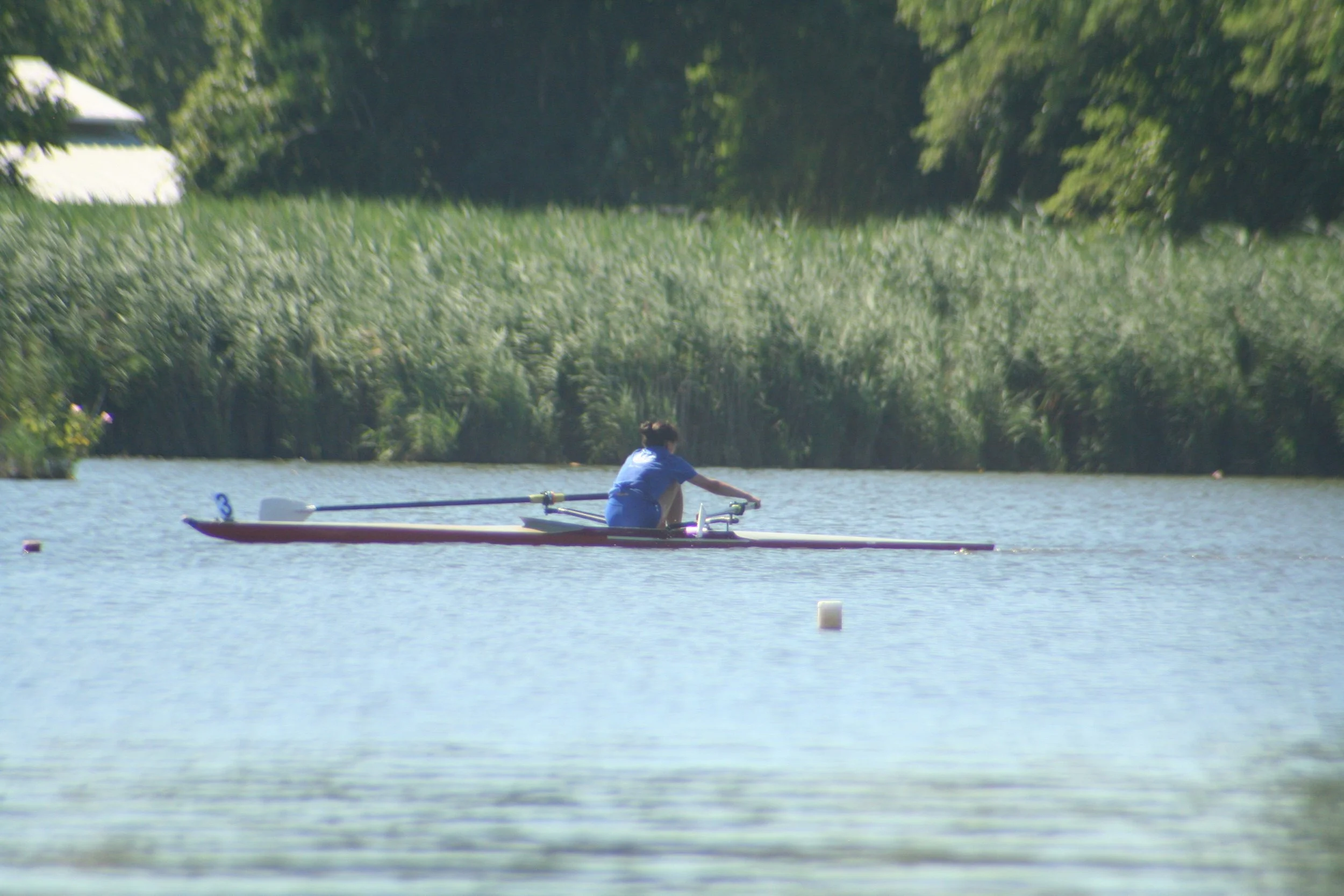 Sussex County Rowing Club