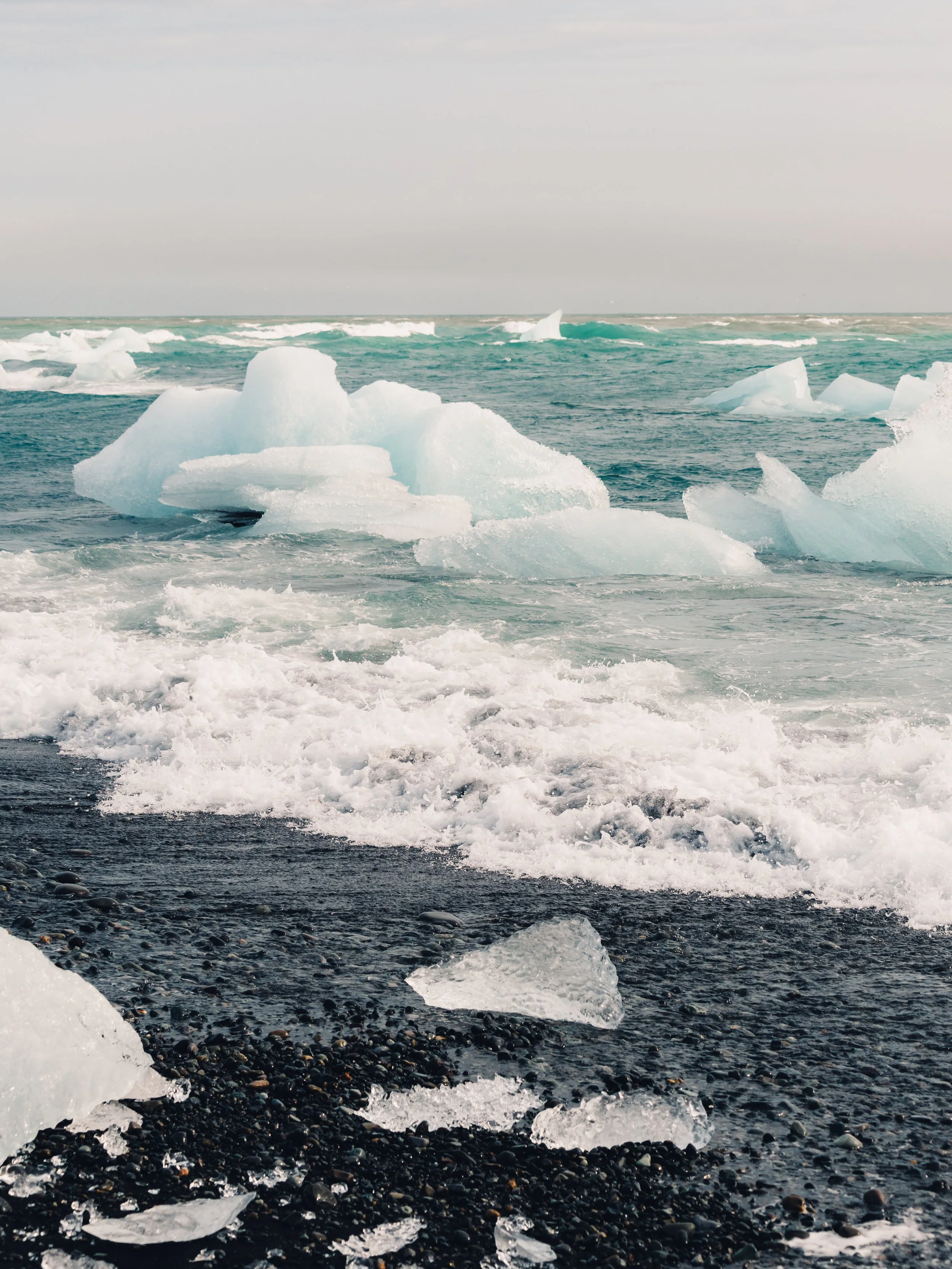 10 best cameras (and worst!) for 2026! — Micro Four Nerds