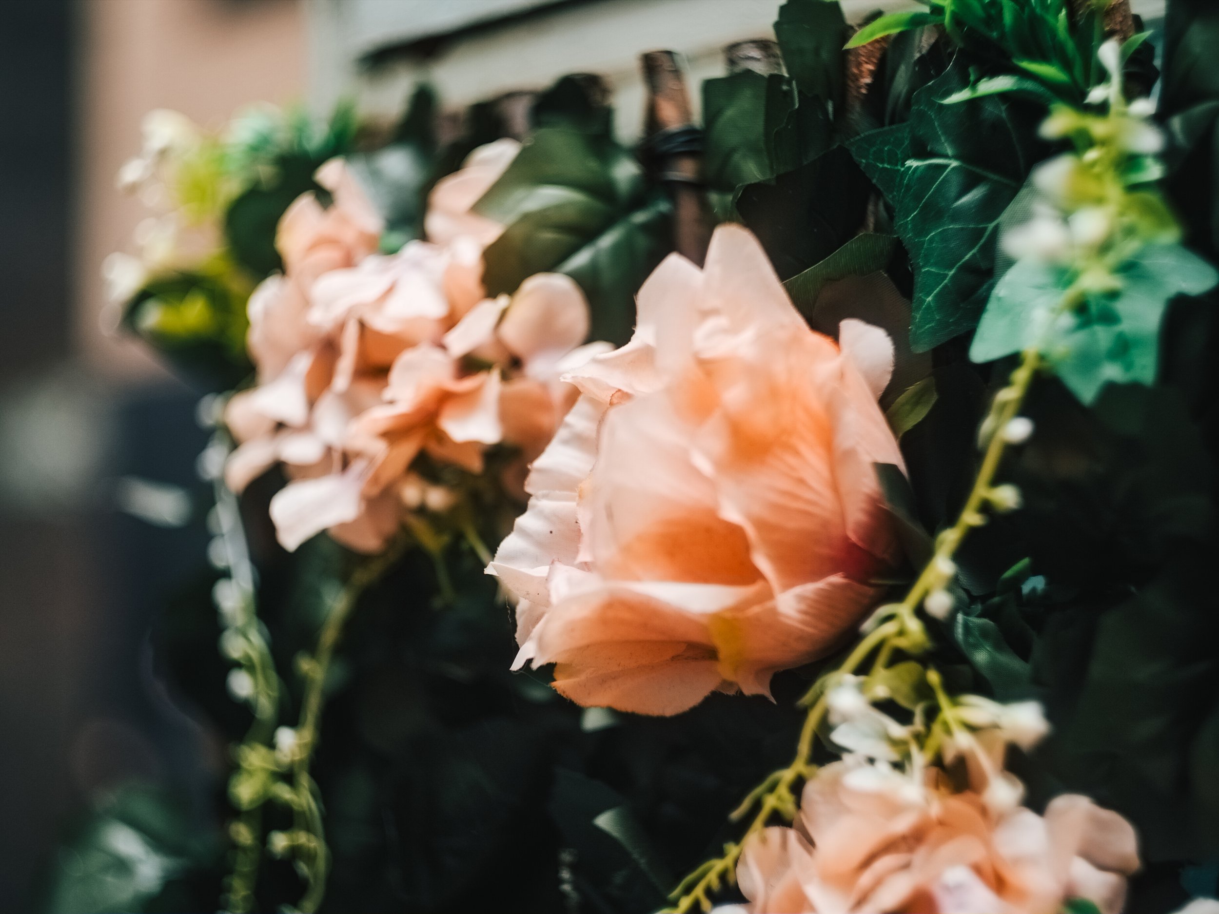 What the heck is Alice Camera? World first hands-on review! — Micro ...