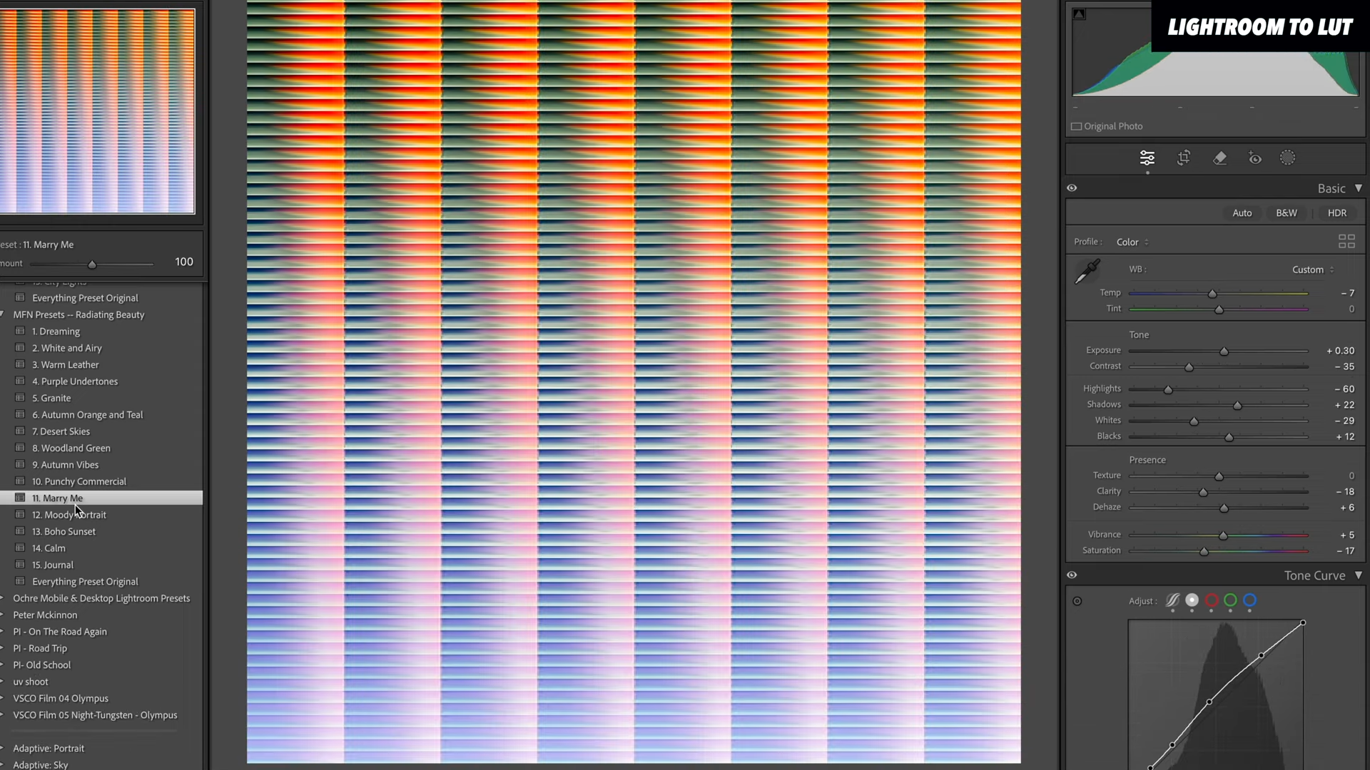 How to Convert Lightroom Presets to LUTs for Real-Time Use — Micro Four ...