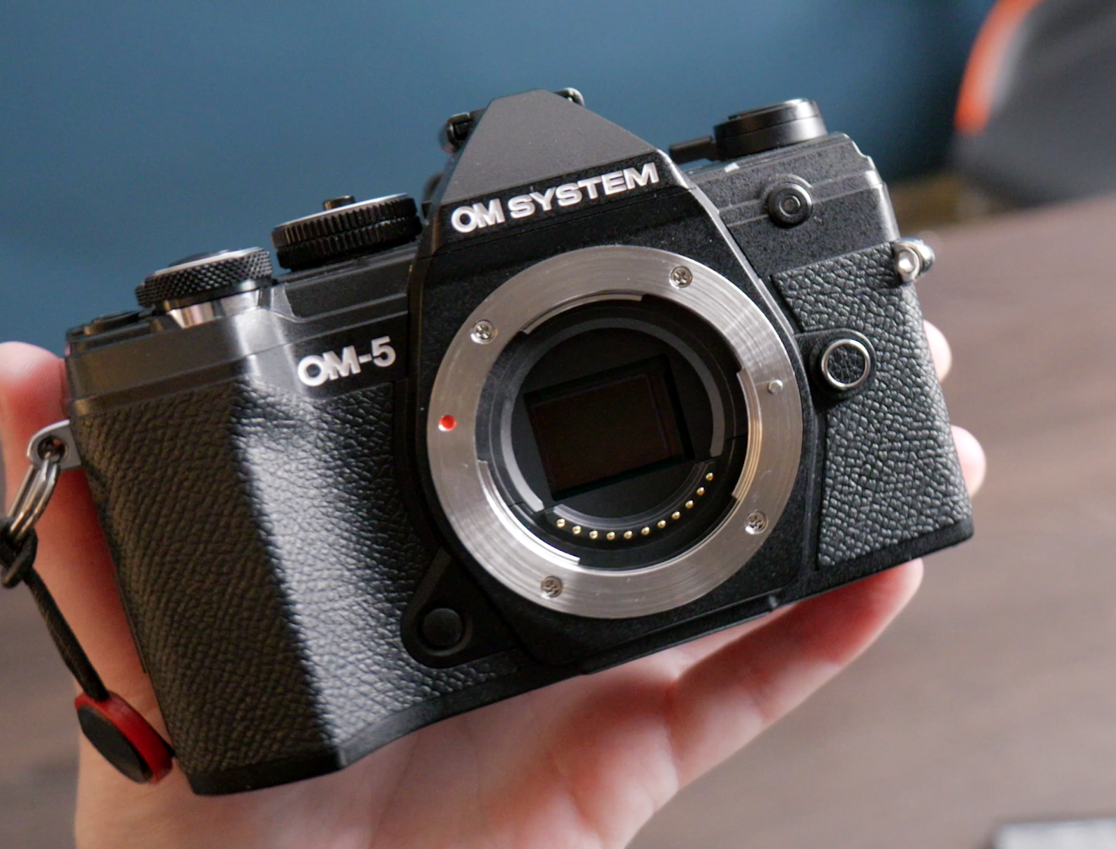 10 best Every Day Carry Cameras you can buy in 2025! — Micro Four Nerds