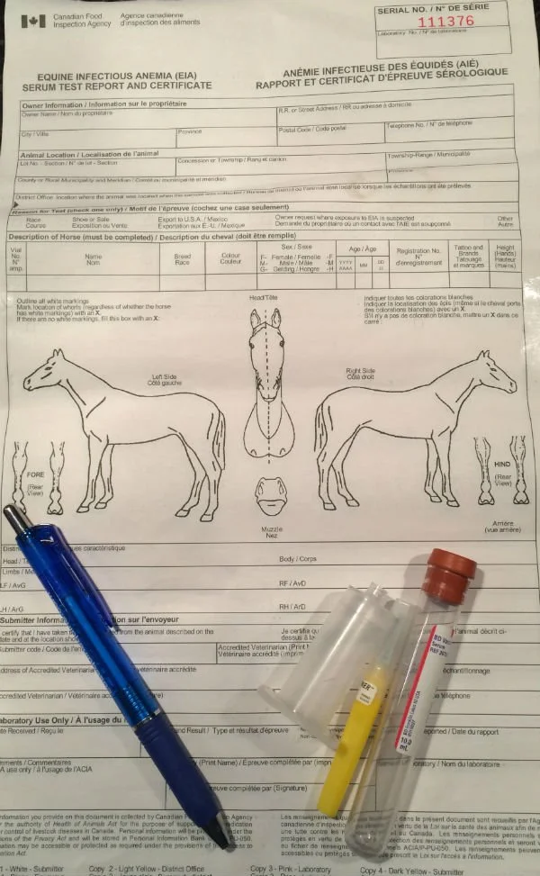 Coggins & Exports — Epona Equine Veterinary Services