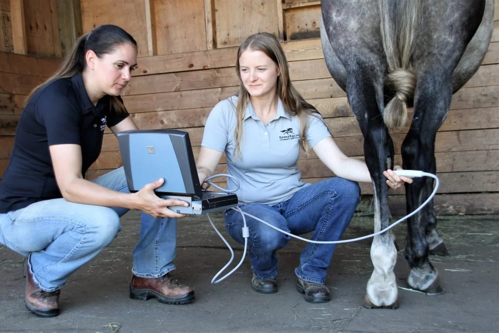 Diagnostics — Epona Equine Veterinary Services