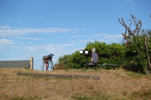 Documentary — Why Are You You?