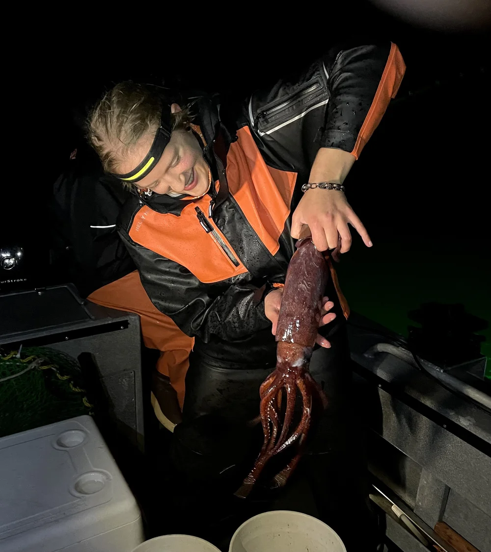About Us — Magister Squid Alaska