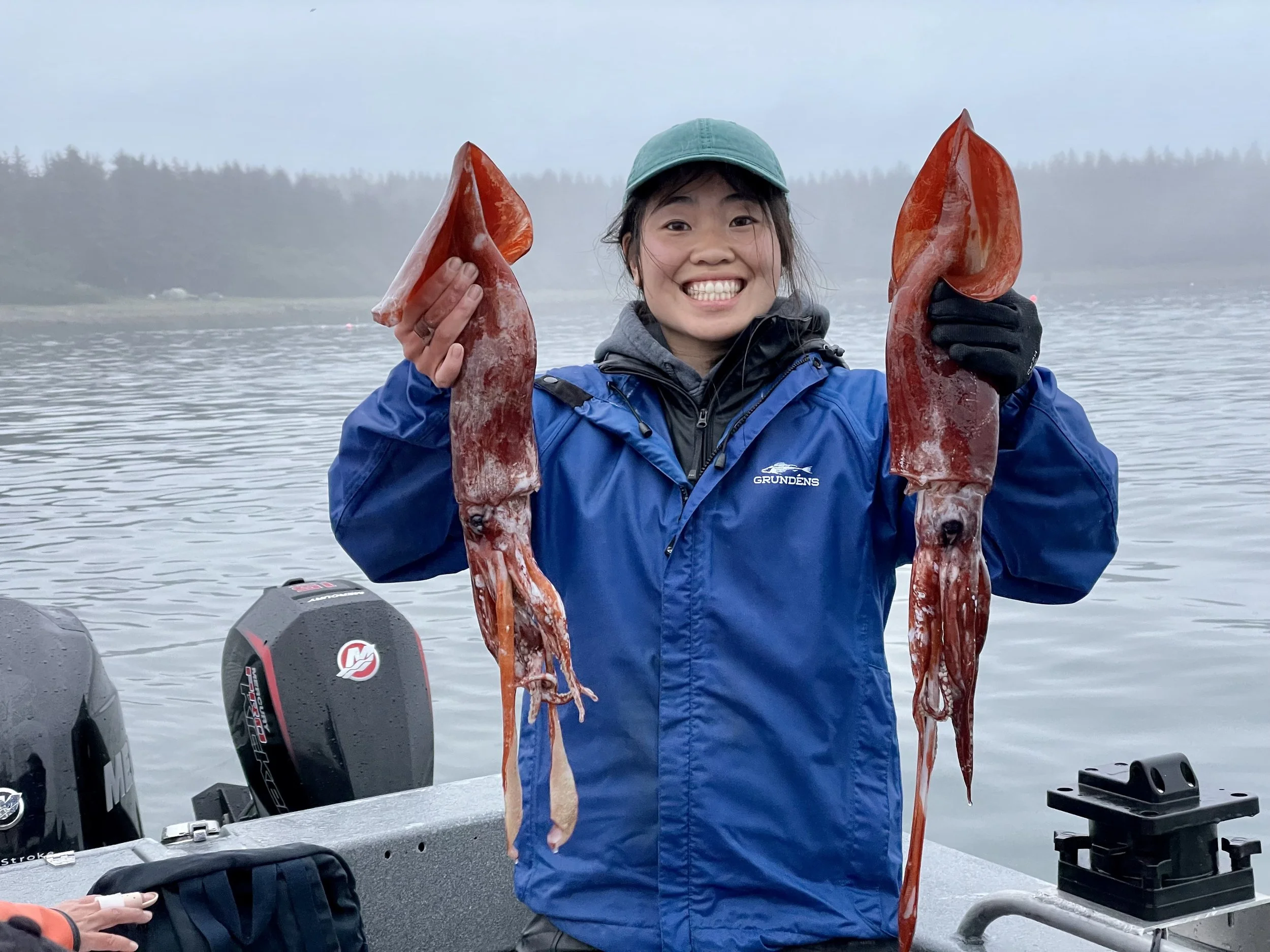 Magister Squid Alaska