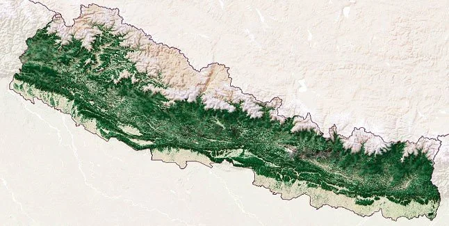 Himalayan Wild Fibers