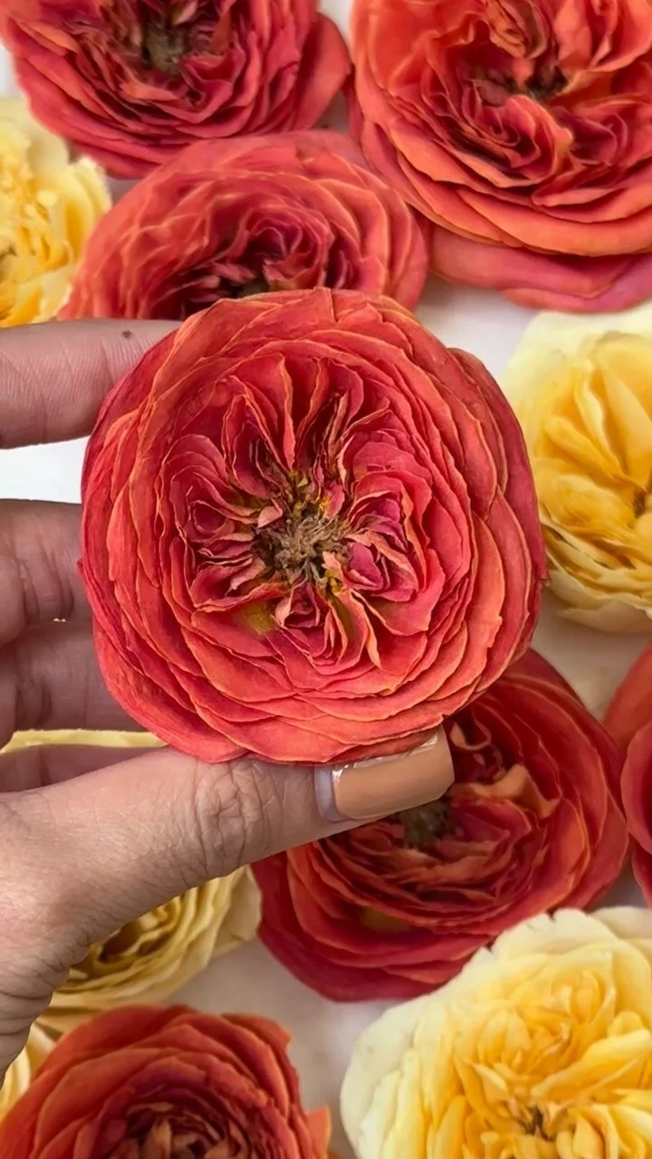 The Bloom Lab - Resin Flower Preservation