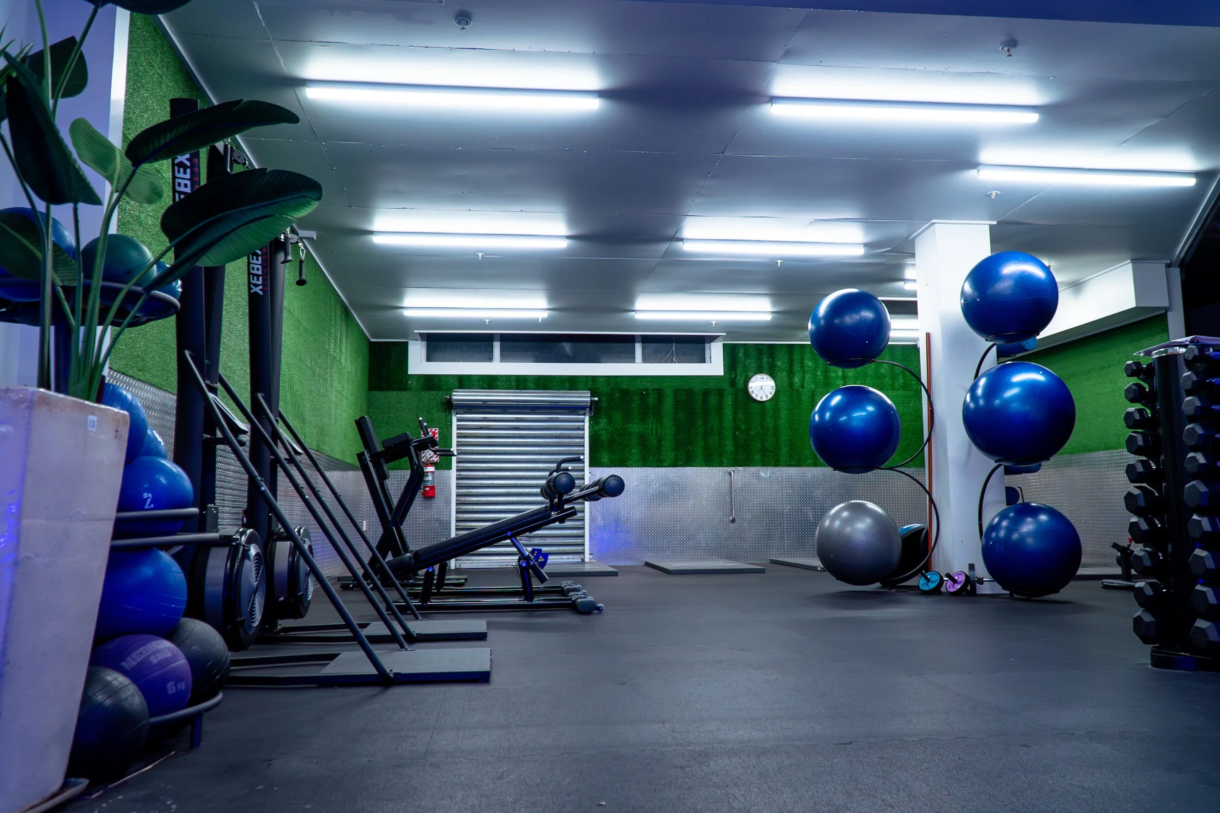 Membership Pricing — Olympic Gym