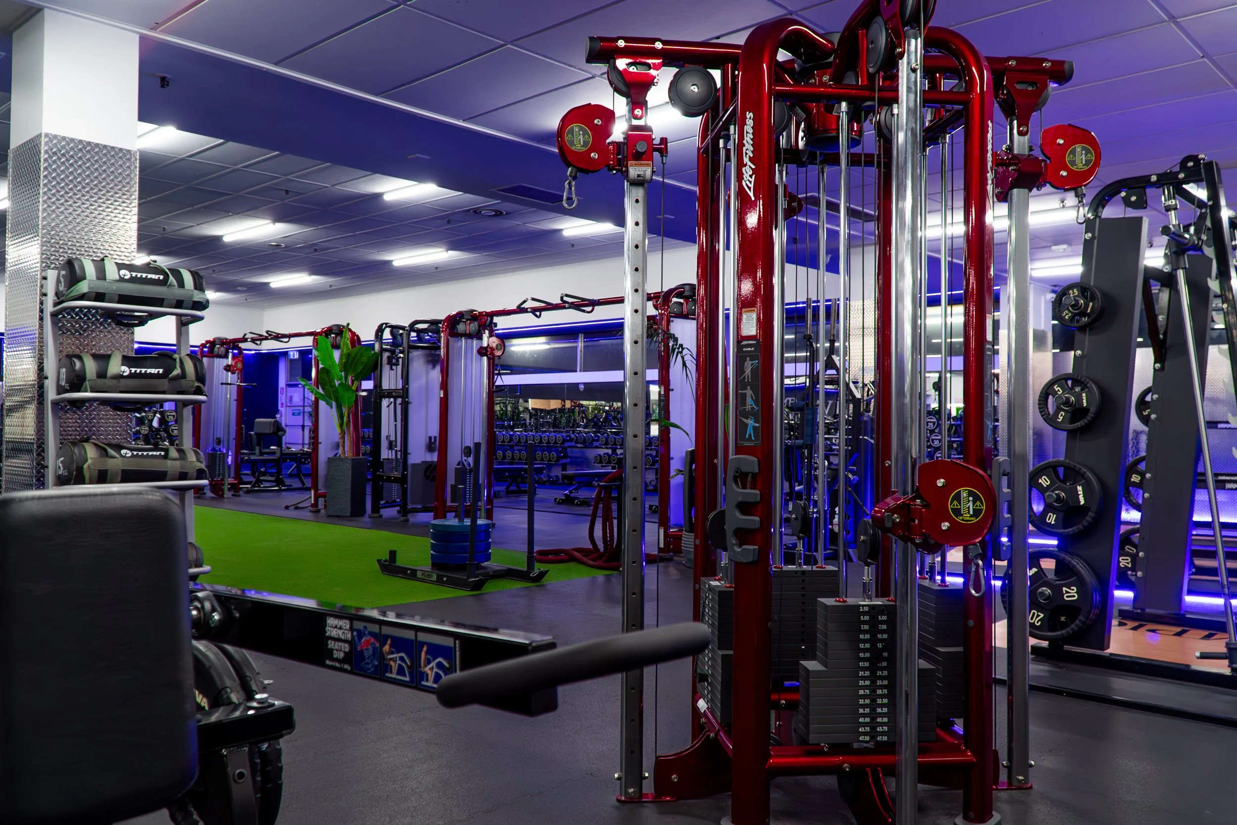 Membership Pricing — Olympic Gym