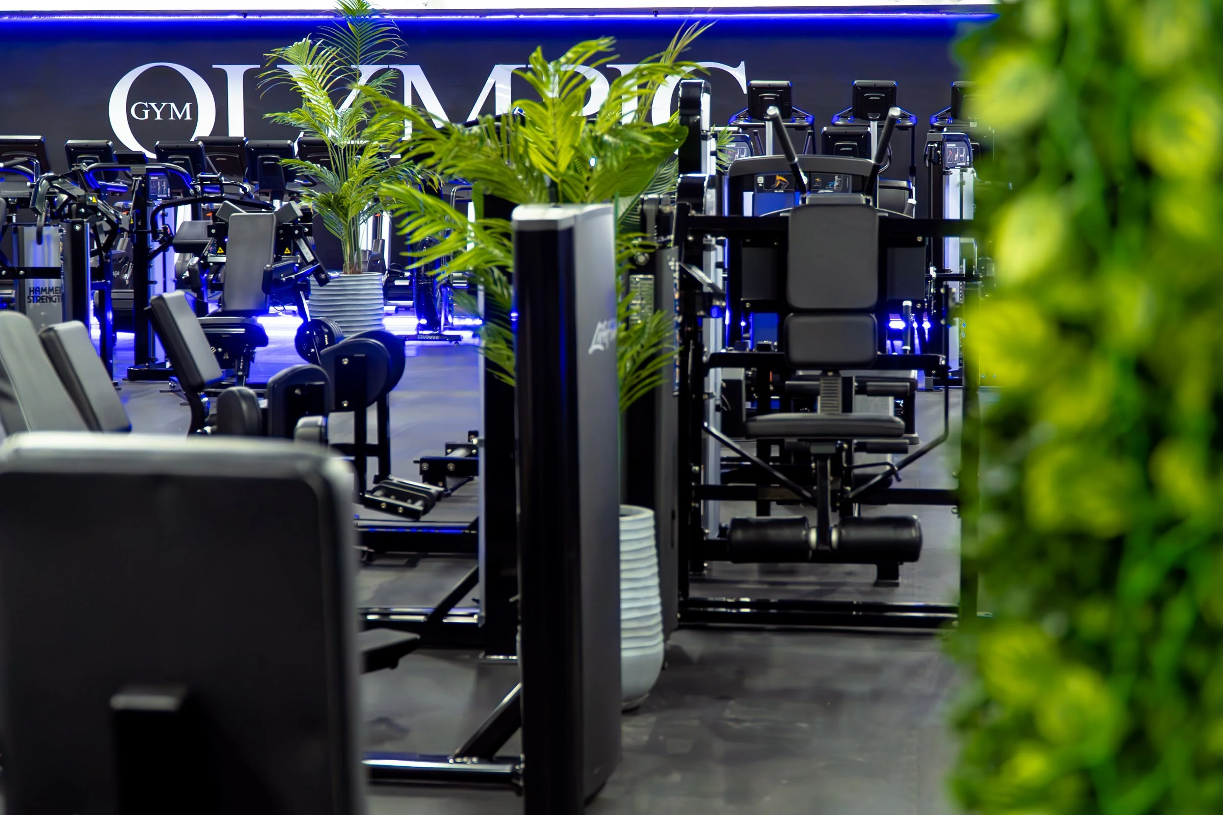 Membership Pricing — Olympic Gym