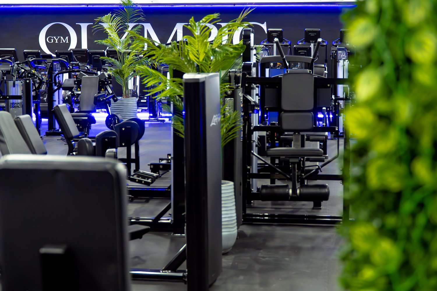 Olympic Gym Mosgiel | Personal Trainer Application | Otago Dunedin Gym ...