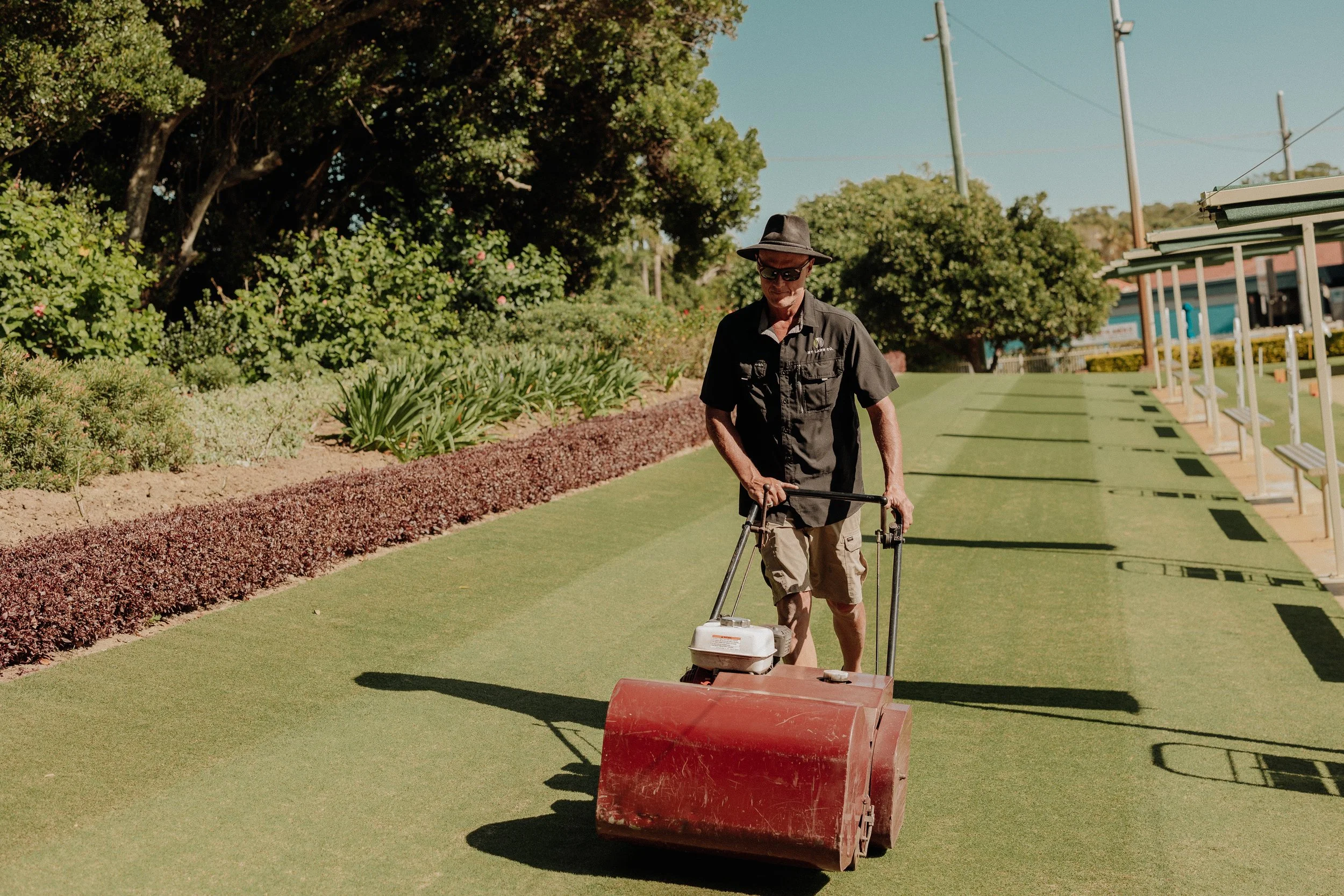 My Lawn Co - Helping you on the Journey to Lawn Perfection - Tips to ...