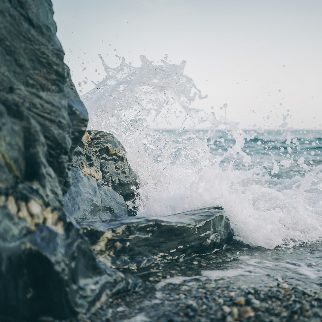 A Perfect planet (2021) — RebeccaHansellCreates