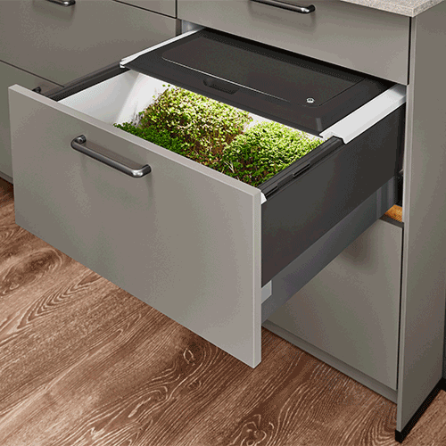 Which kitchen is right for me? — Inside Living