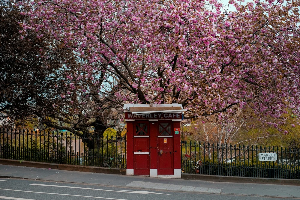 Edinburgh Weather Guide: Best Times to Visit & What to Pack — EDI Tours