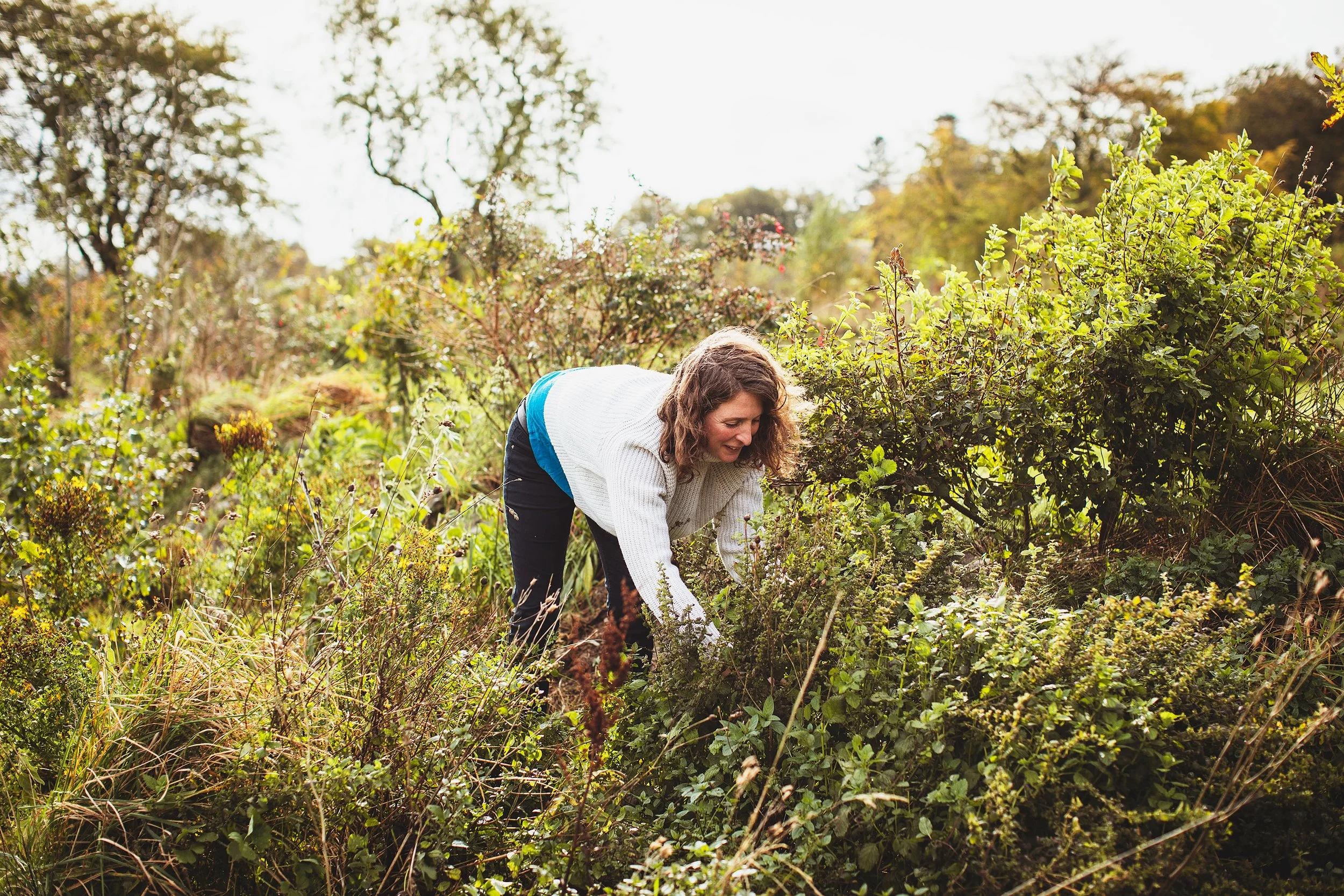Willow Grace Murton - West Wales Medical Herbalist