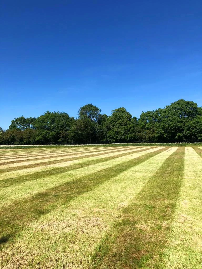 The Mower Centre — Cartwright Landscapes