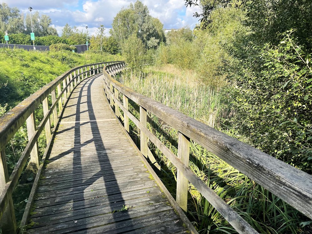 Gallery — Cartwright Landscapes