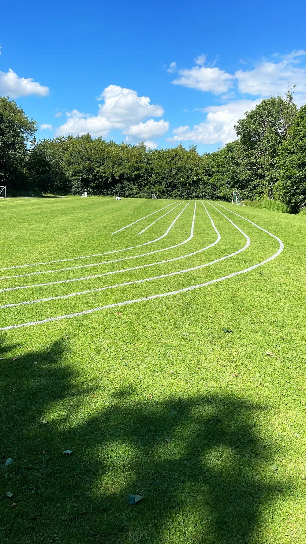 Cartwright Landscapes