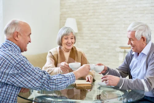 What Is Independent Living for Seniors? Definition and Features ...